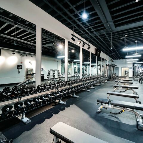 Gym in Old City | City Fitness | Free Trial Pass