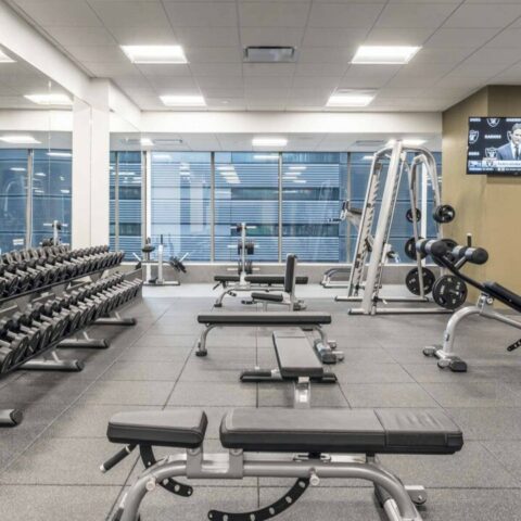 Gym Logan Square | Training, Saunas, Free Weights
