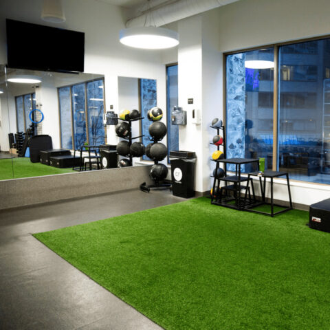 Gym Logan Square | Training, Saunas, Free Weights